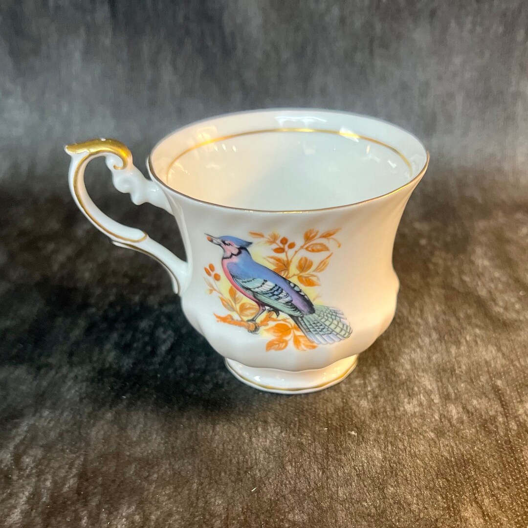 Rosina Queens birds of America Blue Jay Tea Cup - Etsy