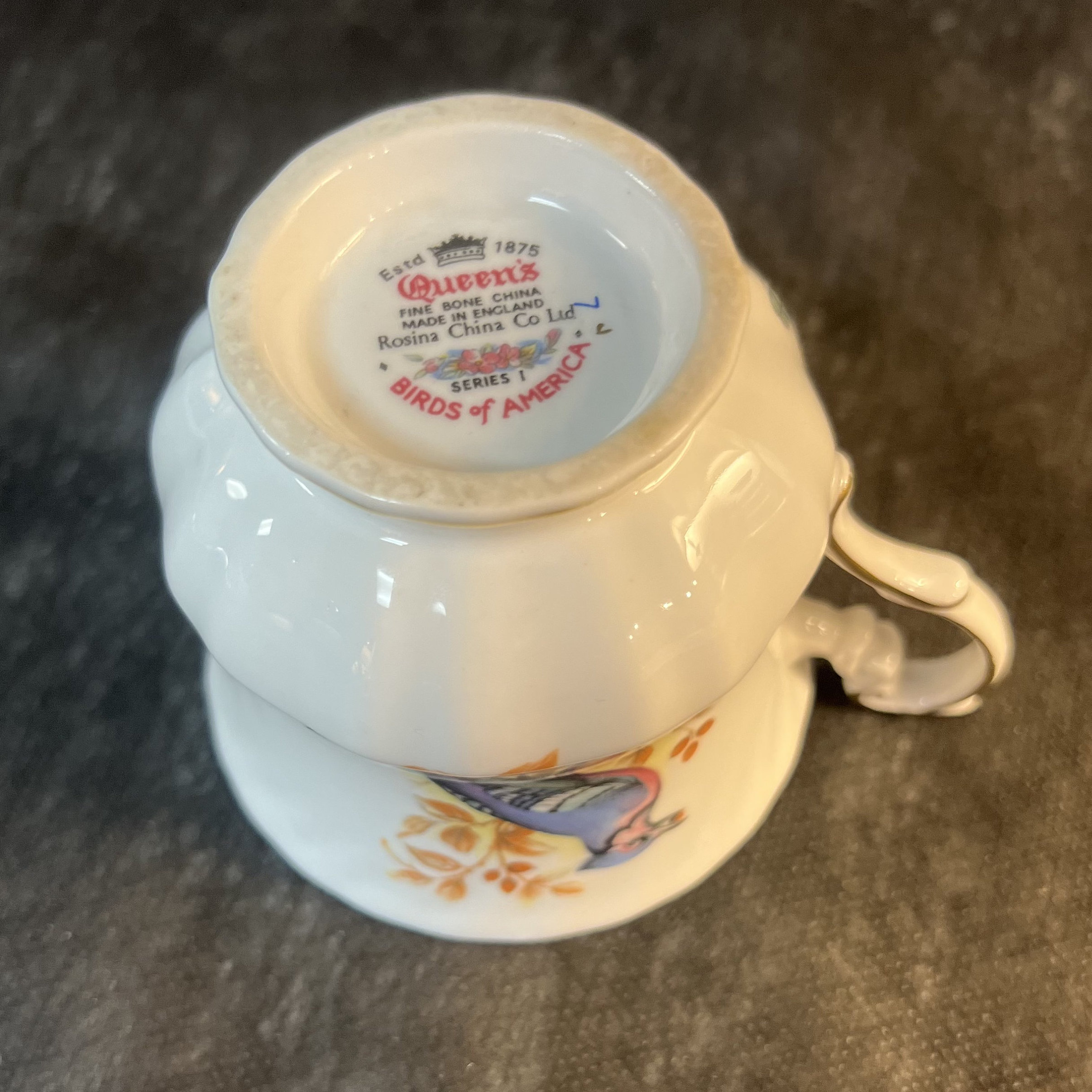 Rosina Queens birds of America Blue Jay Tea Cup - Etsy
