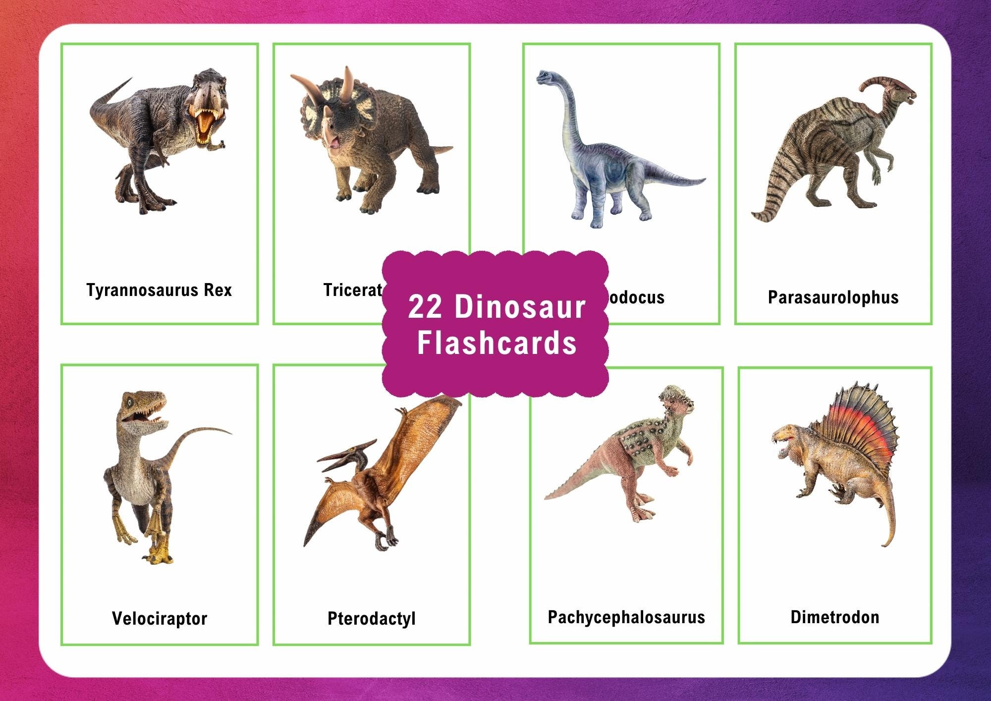 Dinosaur Flashcards for Kids Educational | Educational Cards ...