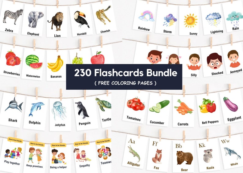 Flashcards Bundle , Montessori Flash Cards , Educational Flashcards ...