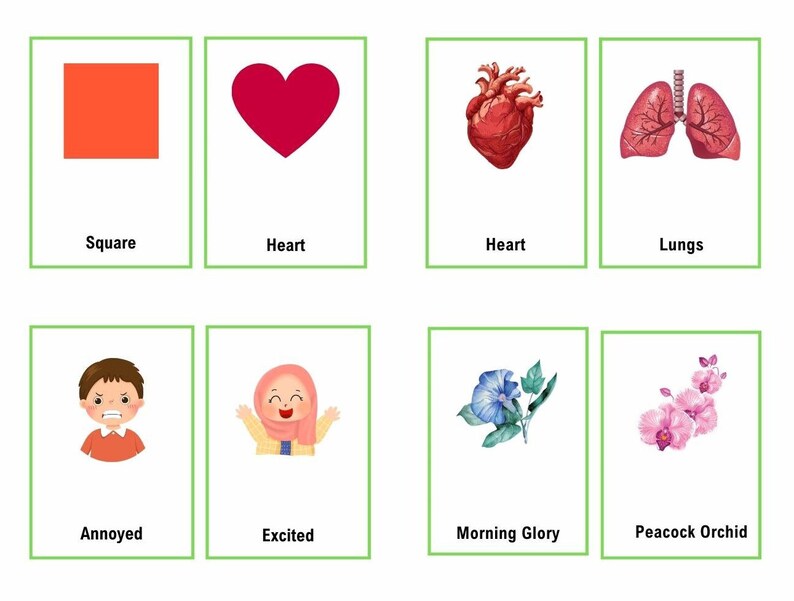 Montessori Education | Educational Cards | Flashcards Bundle ...