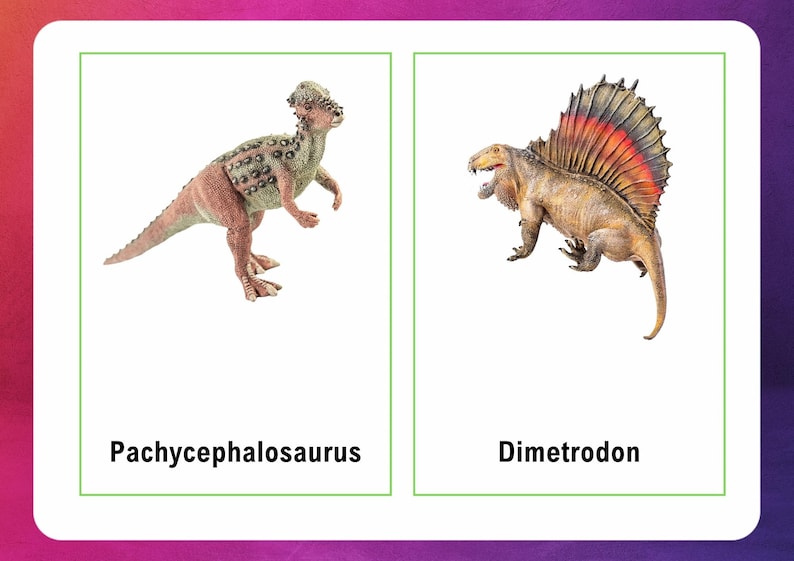 Dinosaur Flashcards for Kids Educational | Educational Cards ...