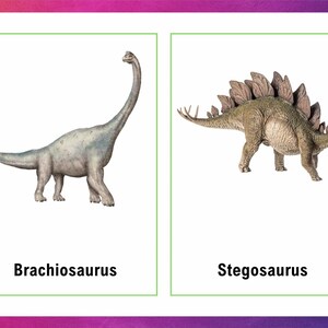 Dinosaur Flashcards for Kids Educational | Educational Cards ...