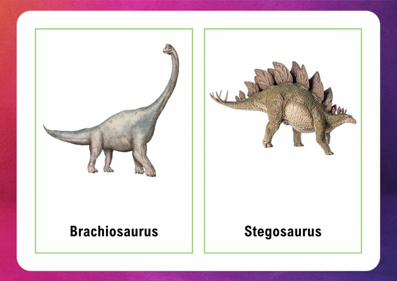 Dinosaur Flashcards for Kids Educational | Educational Cards ...