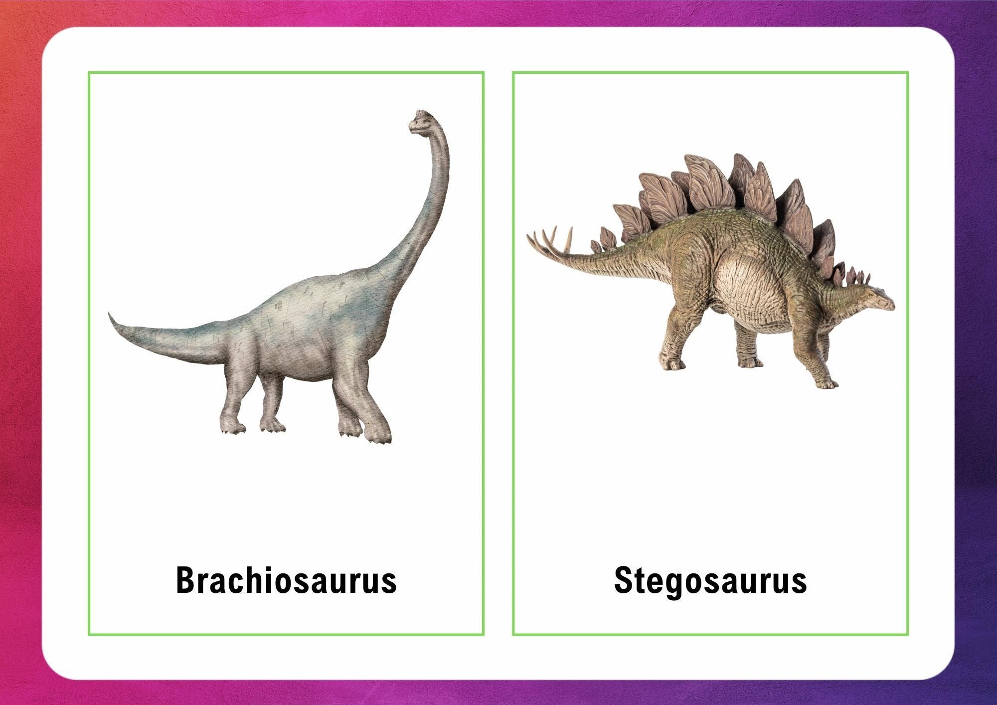 Dinosaur Flashcards for Kids Educational | Educational Cards ...