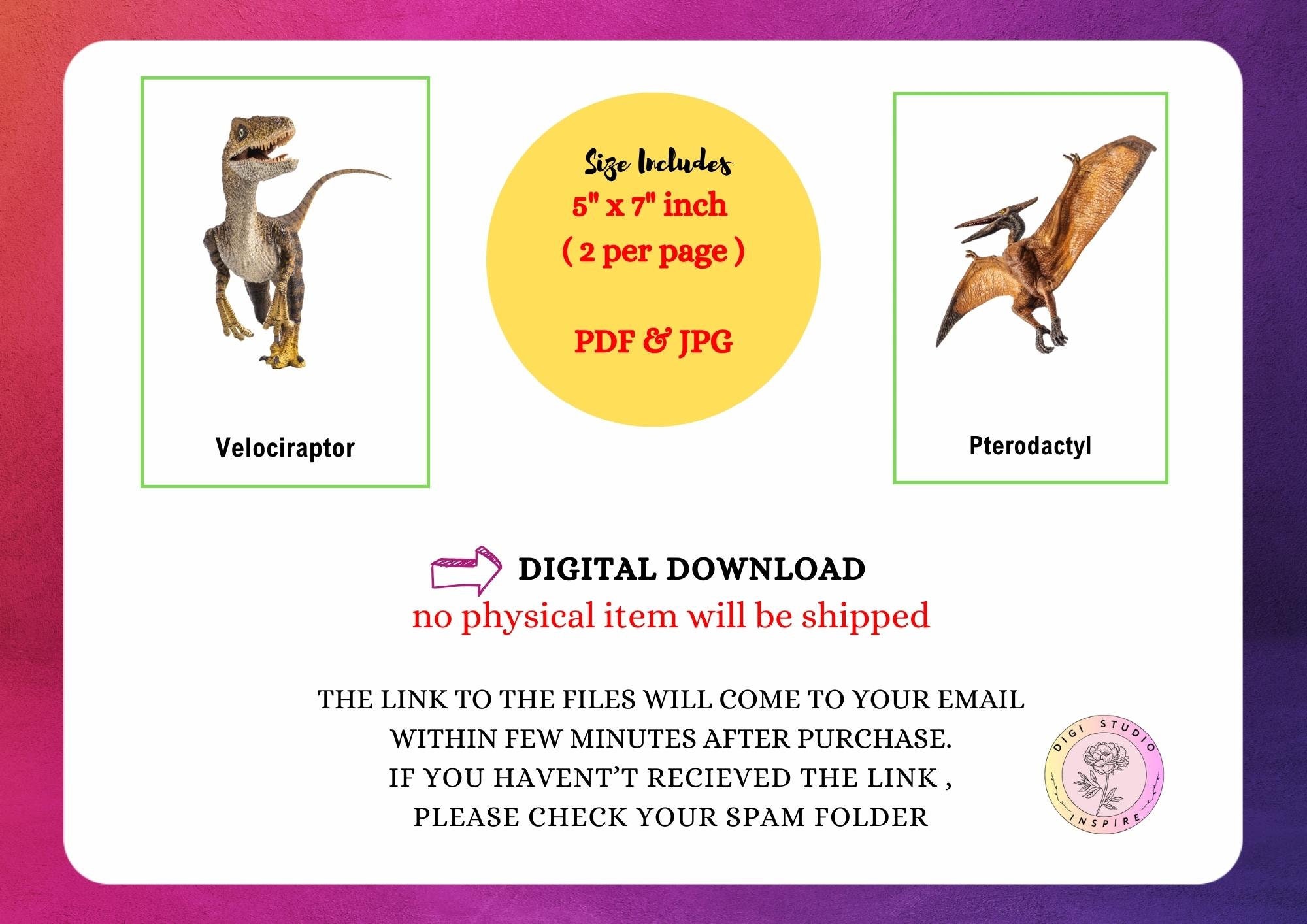 Dinosaur Flashcards for Kids Educational Educational Cards Homeschool ...