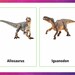Dinosaur Flashcards for Kids Educational | Educational Cards ...