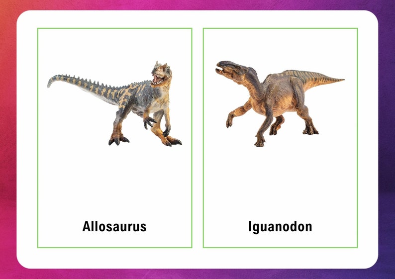 Dinosaur Flashcards for Kids Educational Educational Cards Homeschool ...