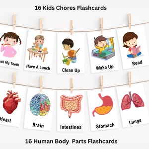 Flashcards Bundle , Montessori Flash Cards , Educational Flashcards ...