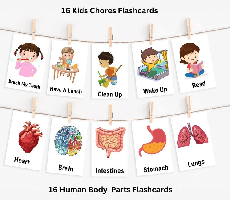 Flashcards Bundle , Montessori Flash Cards , Educational Flashcards ...