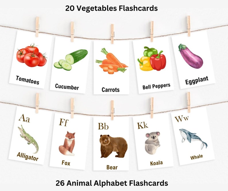 Flashcards Bundle , Montessori Flash Cards , Educational Flashcards ...