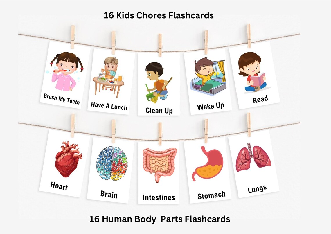 Flashcards for Kids Education Montessori Printable - Etsy