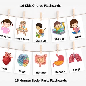 Flashcards for Kids Education | Montessori Printable | Flashcards for ...