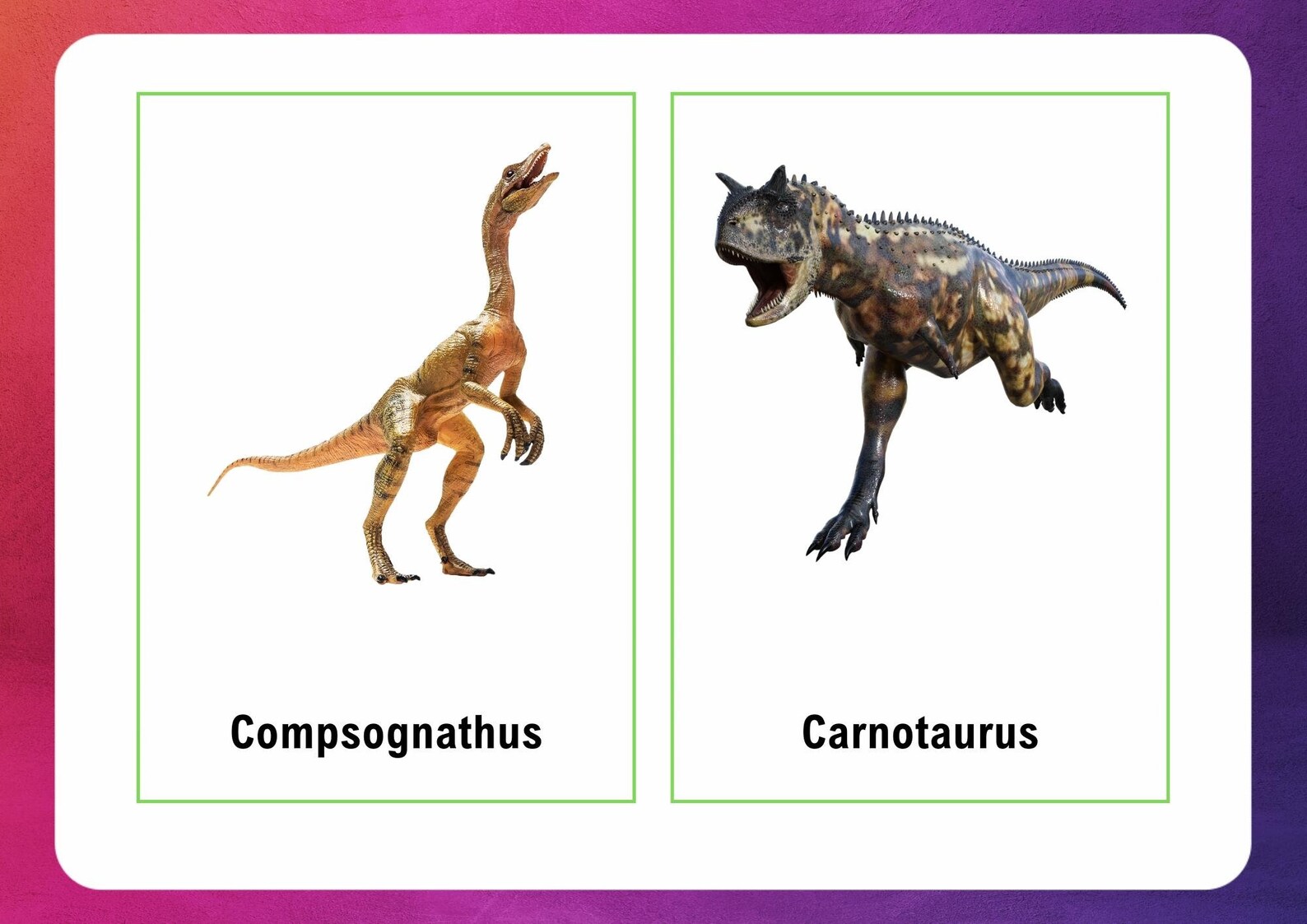 Dinosaur Flashcards for Kids Educational Educational Cards Homeschool ...