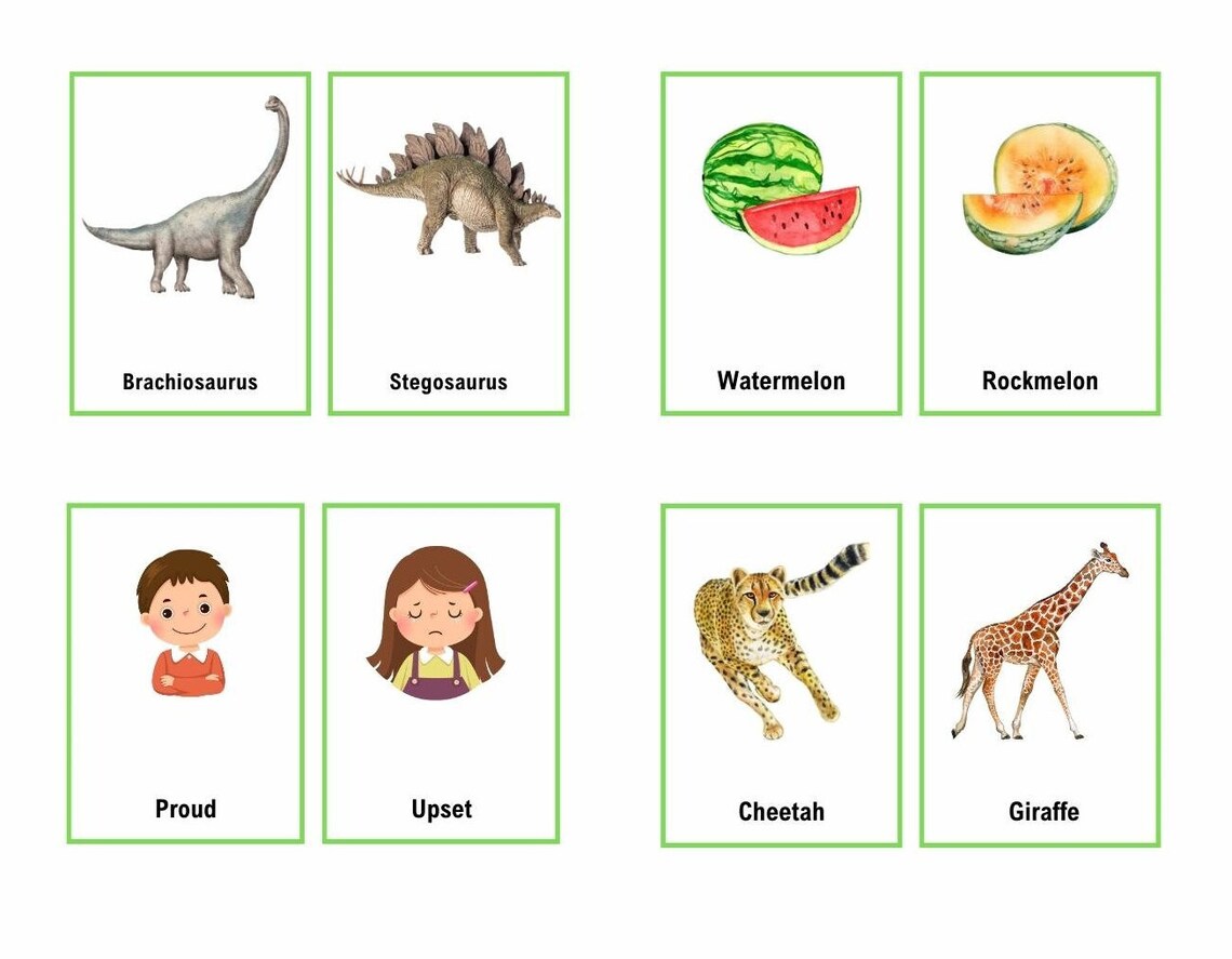 Montessori Education | Educational Cards | Flashcards Bundle ...