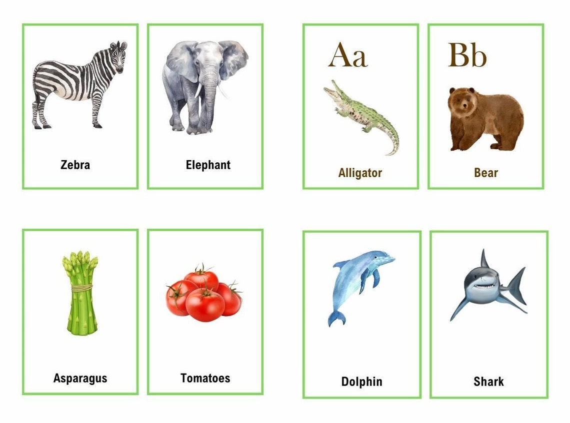 Montessori Education | Educational Cards | Flashcards Bundle ...