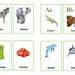 Montessori Education | Educational Cards | Flashcards Bundle ...