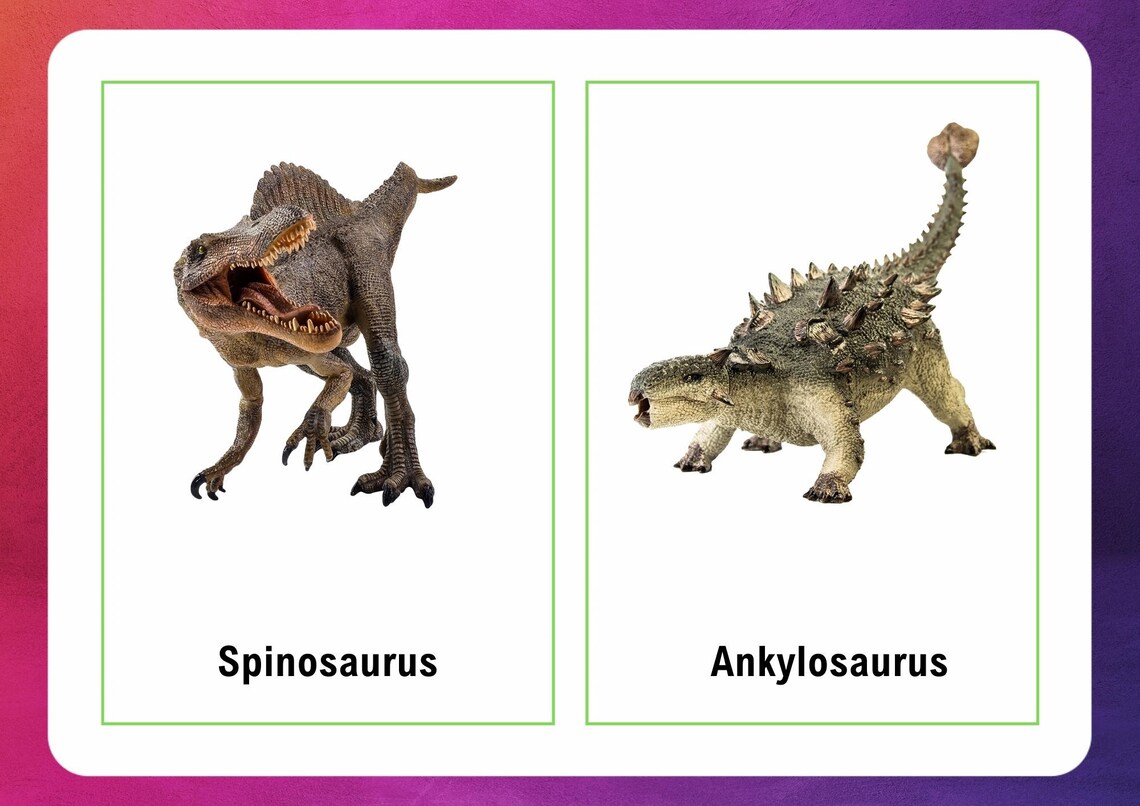 Dinosaur Flashcards for Kids Educational Educational Cards Homeschool ...