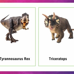 Dinosaur Flashcards for Kids Educational | Educational Cards ...