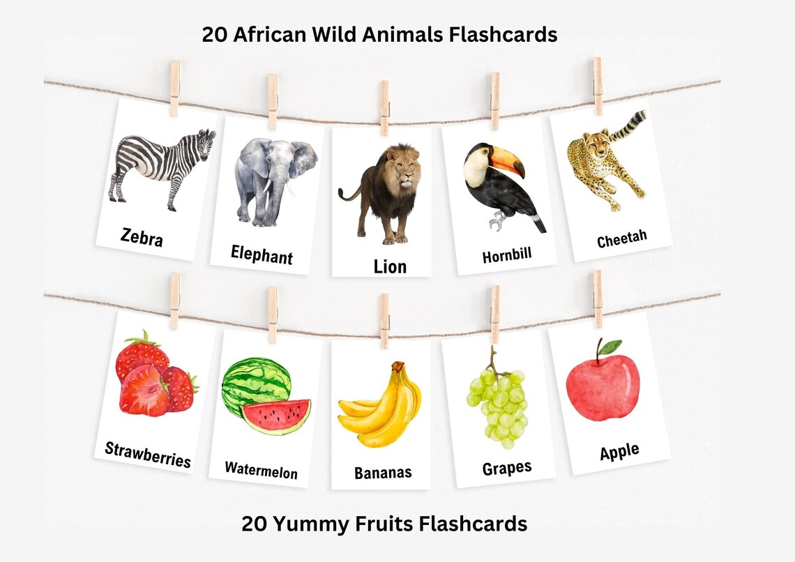 Flashcards for Kids Education Montessori Printable - Etsy