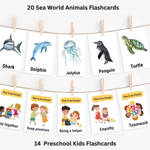 Flashcards Bundle , Montessori Flash Cards , Educational Flashcards ...