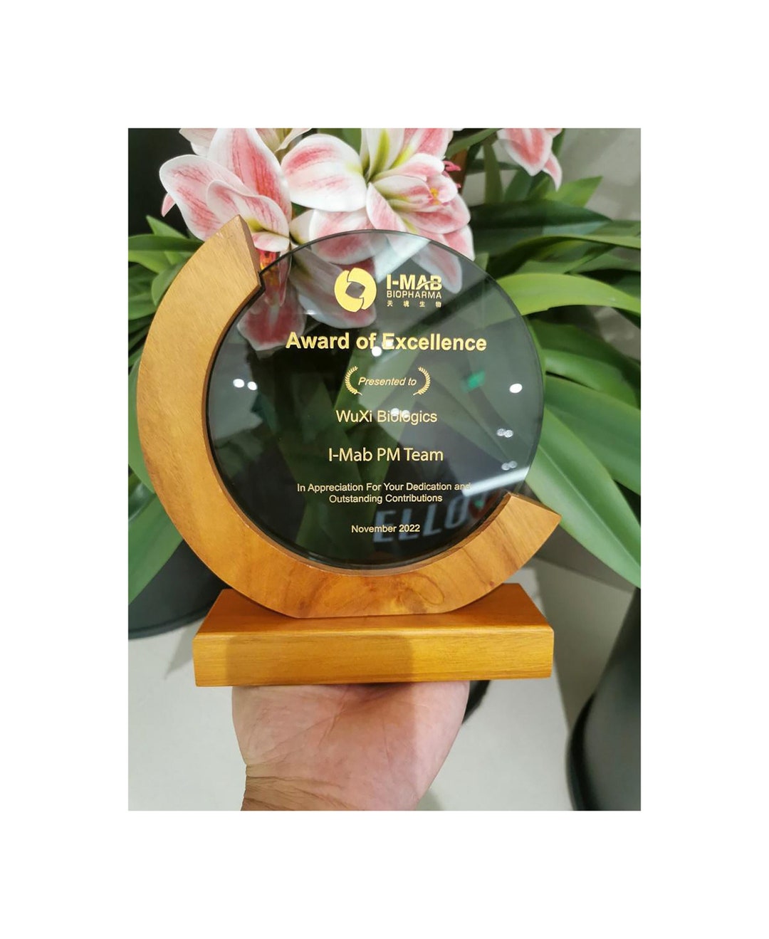 Custom Solid Wood Crystal Trophy Team Round Souvenir Medal - Etsy