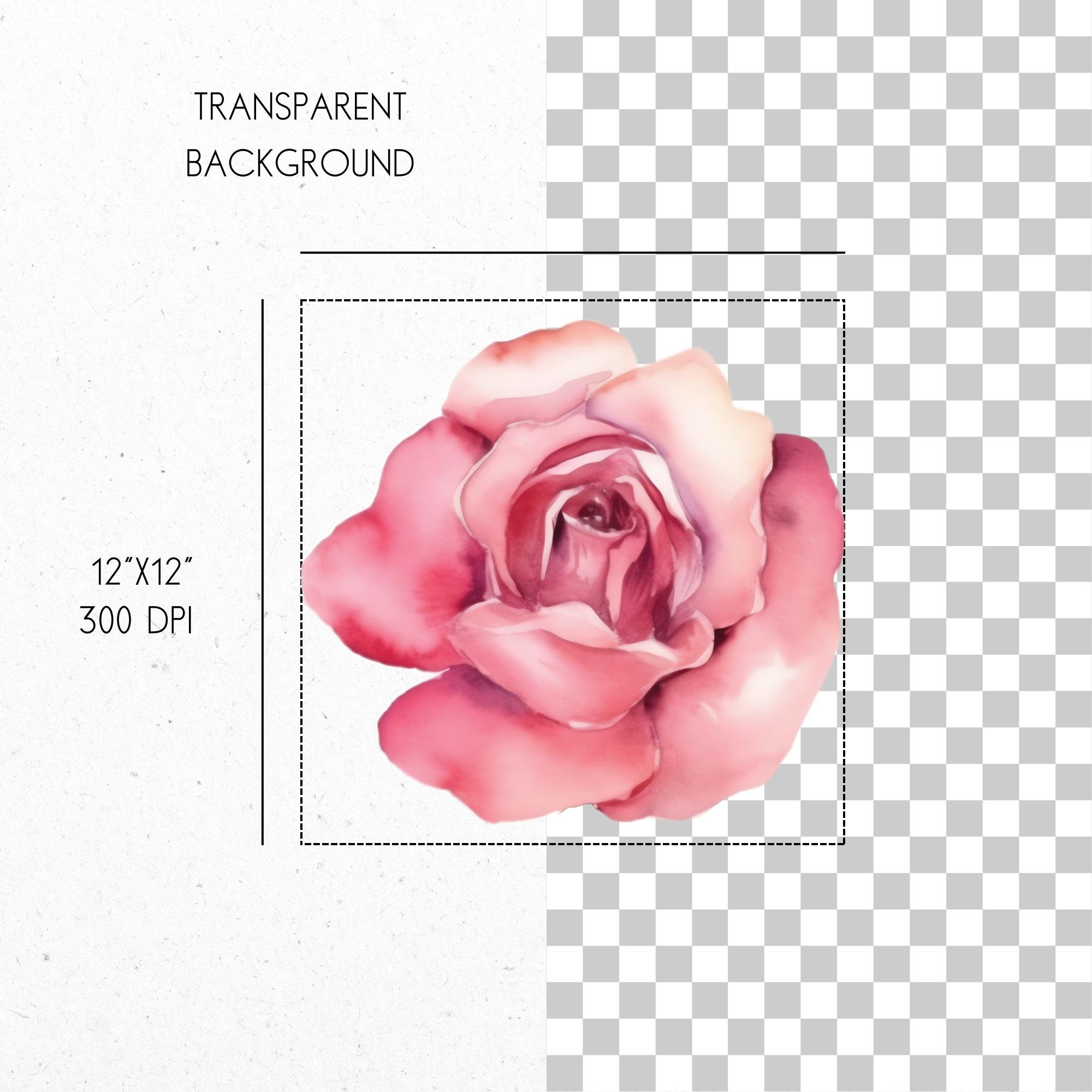 Watercolor Pink Rose Clipart, Pink Floral PNG, Frames, Bouquets ...