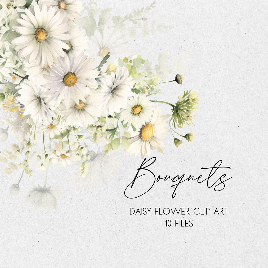 Daisy Flower Watercolor Clipart Daisy Bouquets Daisy Flower PNG White ...