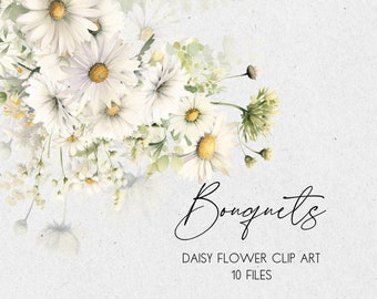 Daisy Flower Watercolor Clipart Daisy Border Daisy Flower PNG White ...