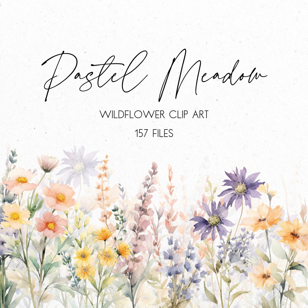 Wildflower Watercolor Clip Art, Pastel Flower, Flower Clip Art, Meadow ...