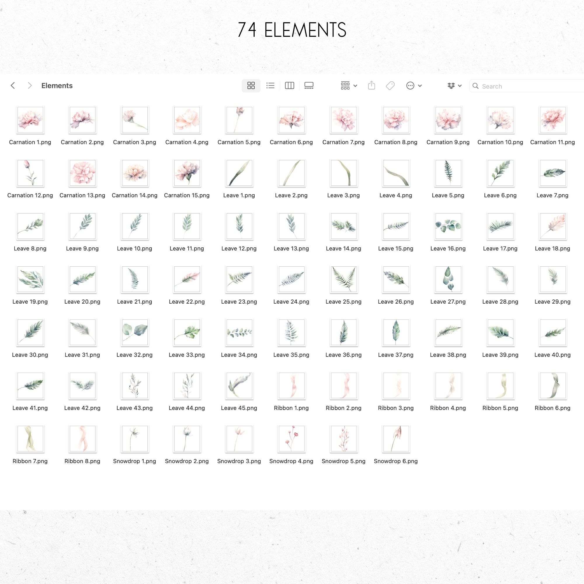 January Birth Flower Clip Art, Birth Month Flower Clip Art Collection ...