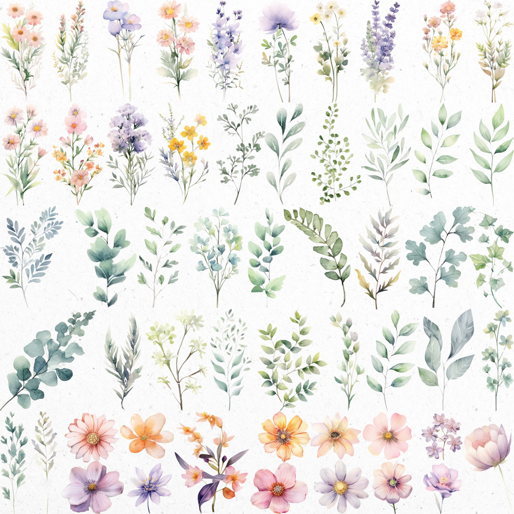 Wildflower Watercolor Clip Art, Pastel Flower, Flower Clip Art, Meadow ...