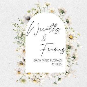 Daisy Flower Watercolor Clipart Daisy Border Daisy Flower PNG White ...