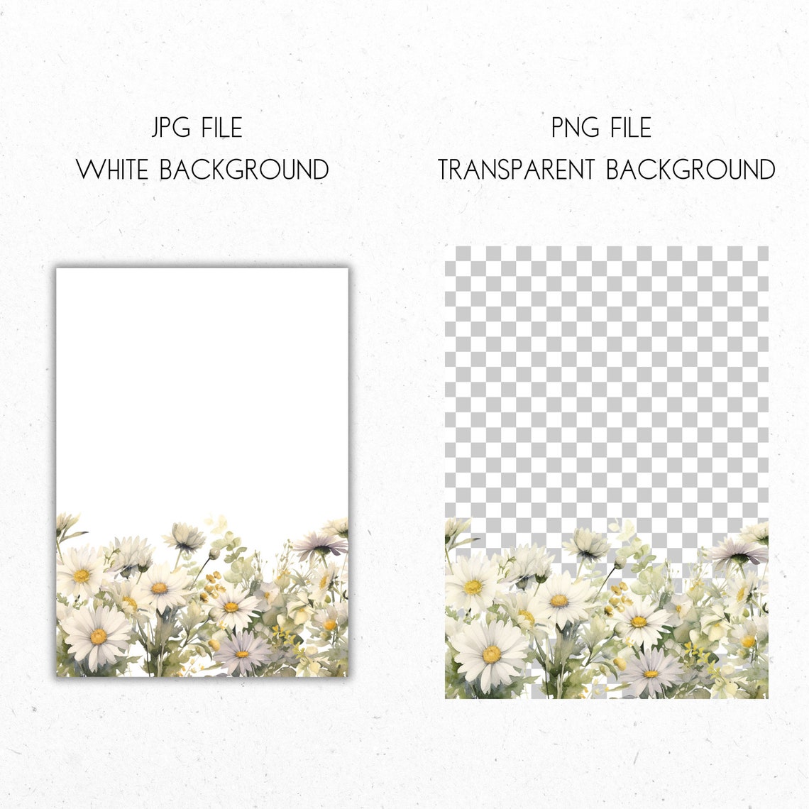 Daisy Flower Watercolor Clipart Daisy Border Daisy Flower PNG White ...