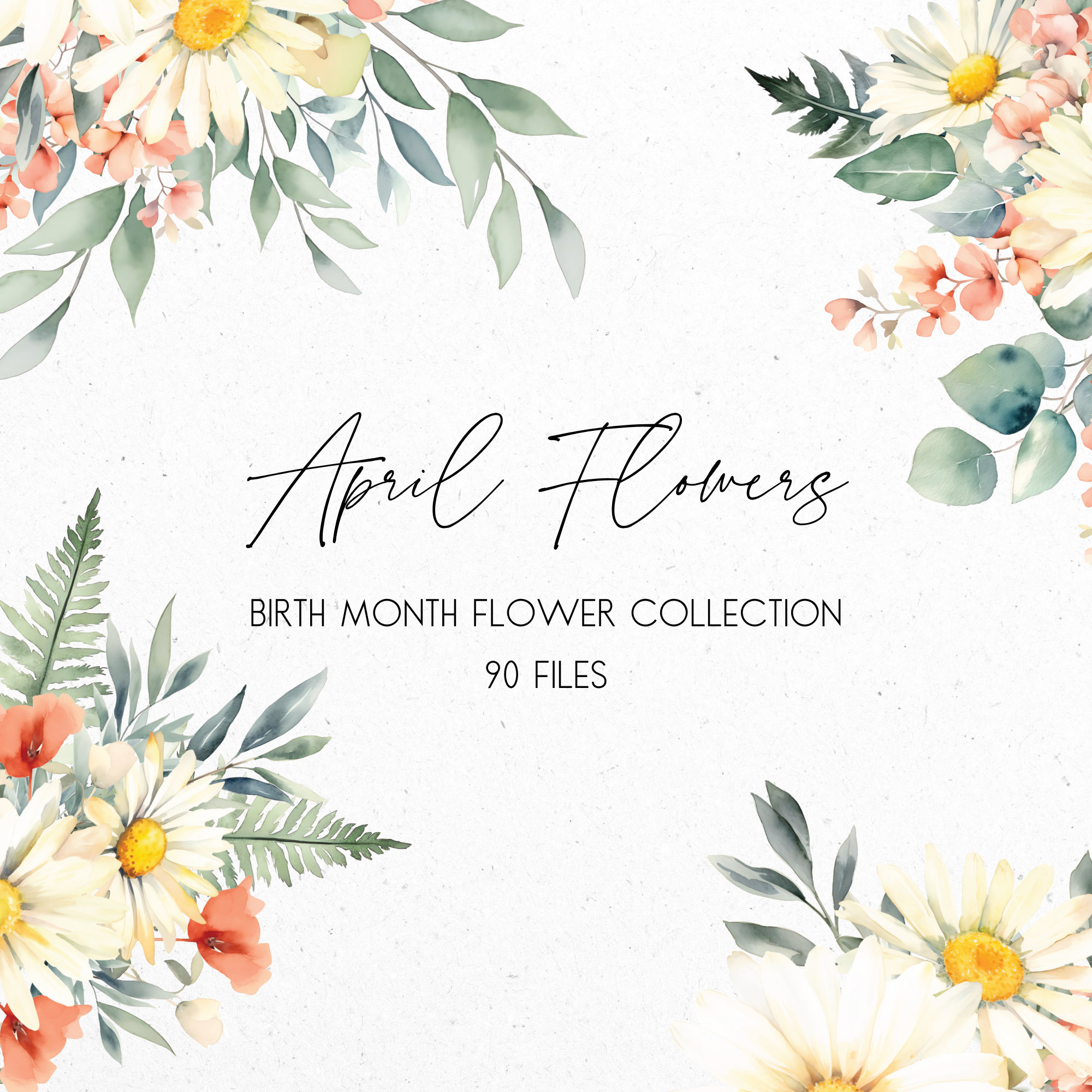 April Birth Flowers Clip Art Birth Month Flowers Clip Art - Etsy