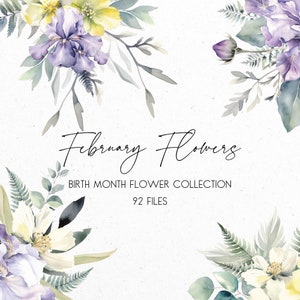 Daisy Flower Watercolor Clipart Daisy Border Daisy Flower PNG White ...