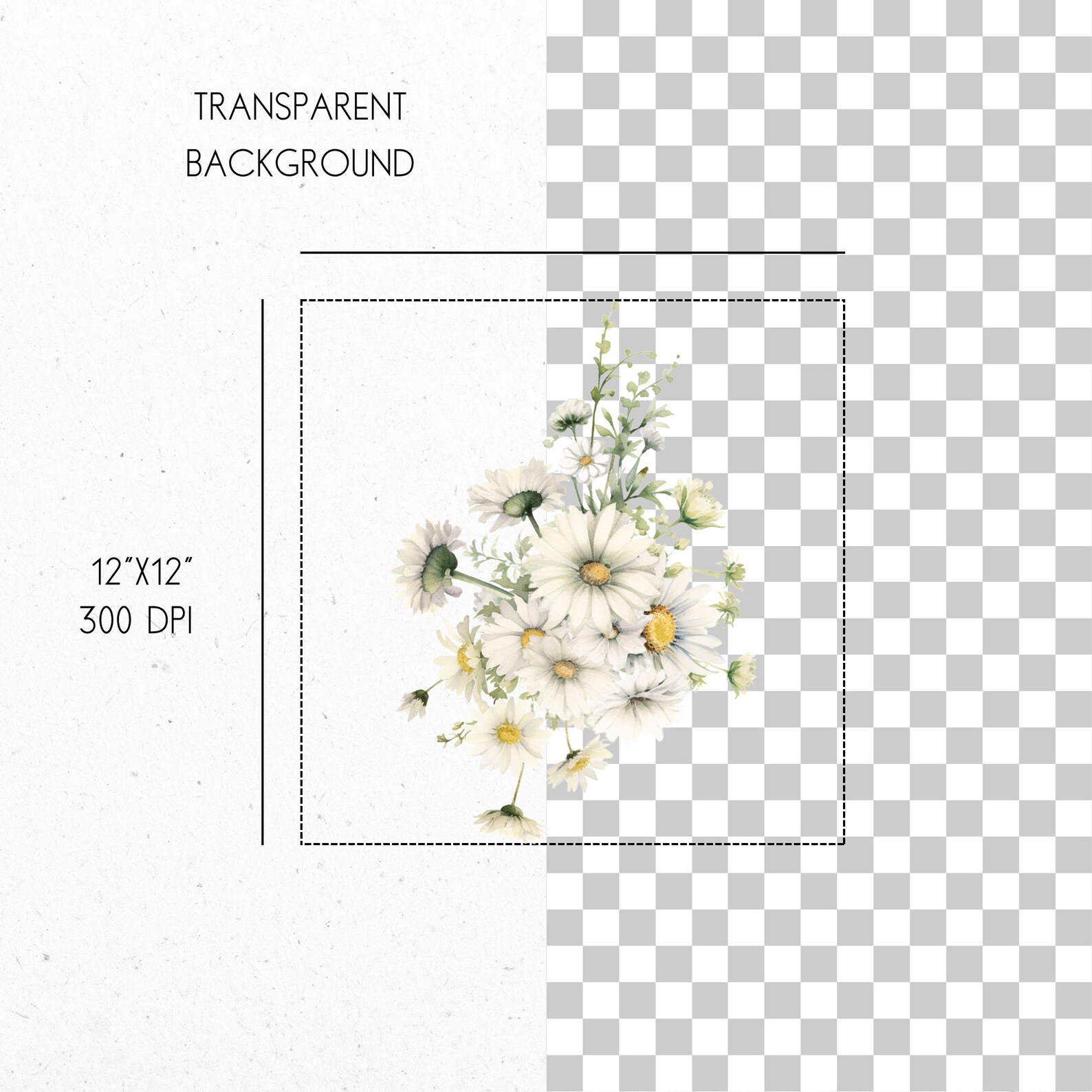 Daisy Flower Watercolor Clipart Daisy Bouquets Daisy Flower PNG White ...