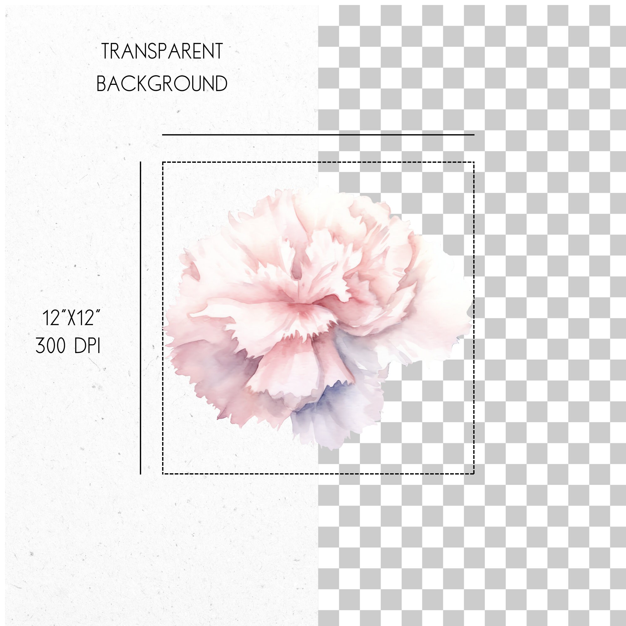 January Birth Flower Clip Art, Birth Month Flower Clip Art Collection ...