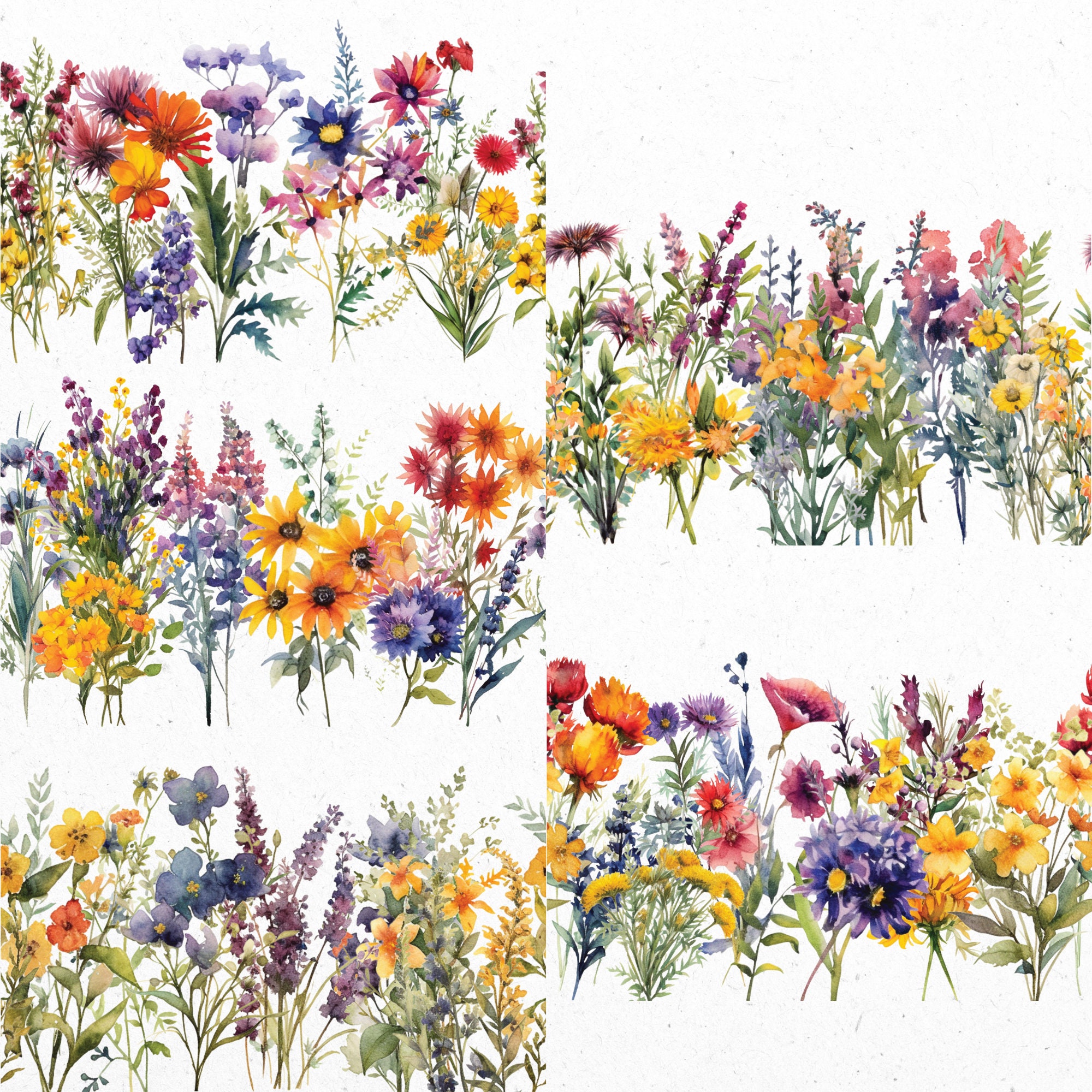 Vibrant Wildflower Seamless Borders, Wildflower Borders, Meadow Clipart ...
