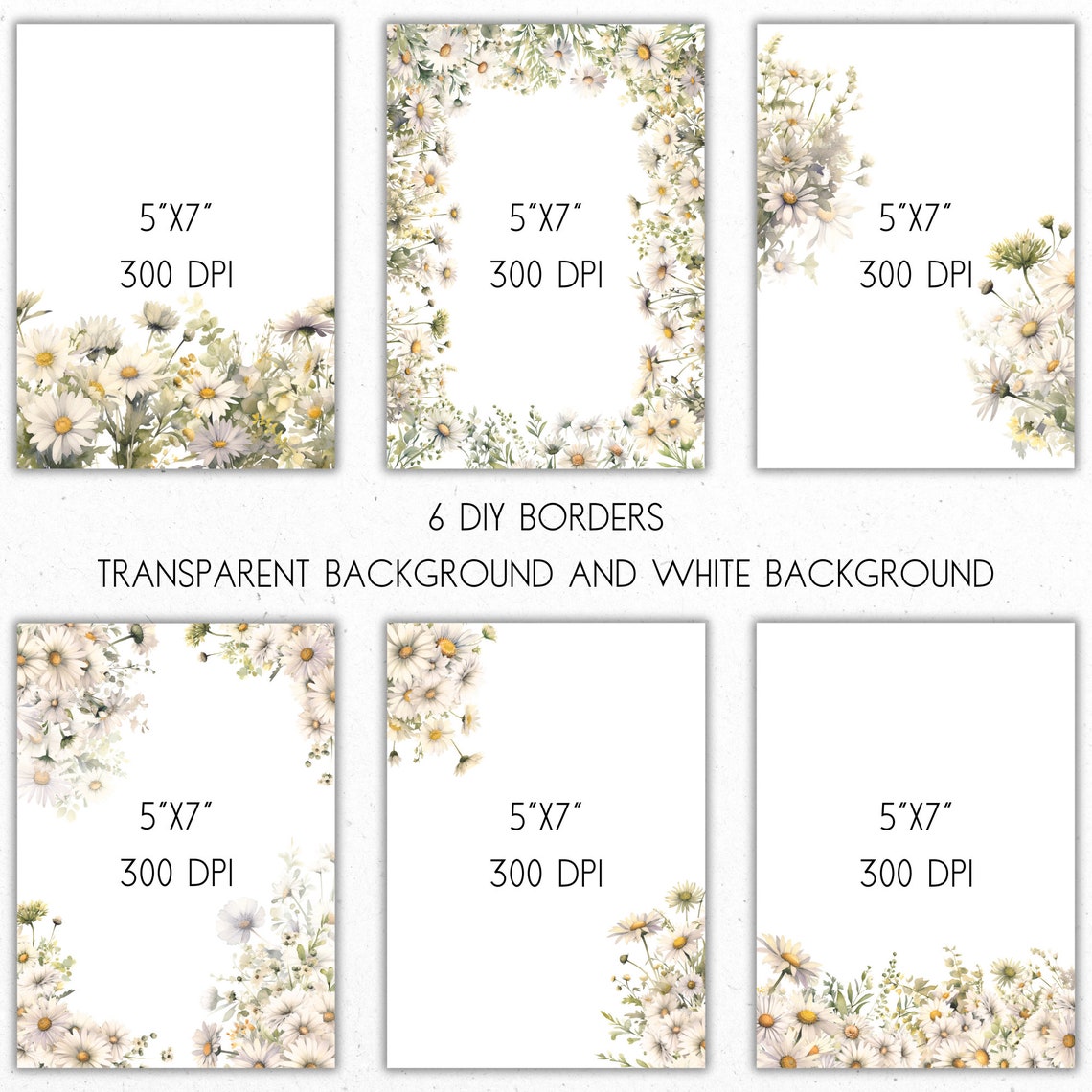 Daisy Flower Watercolor Clipart Daisy Border Daisy Flower PNG White ...