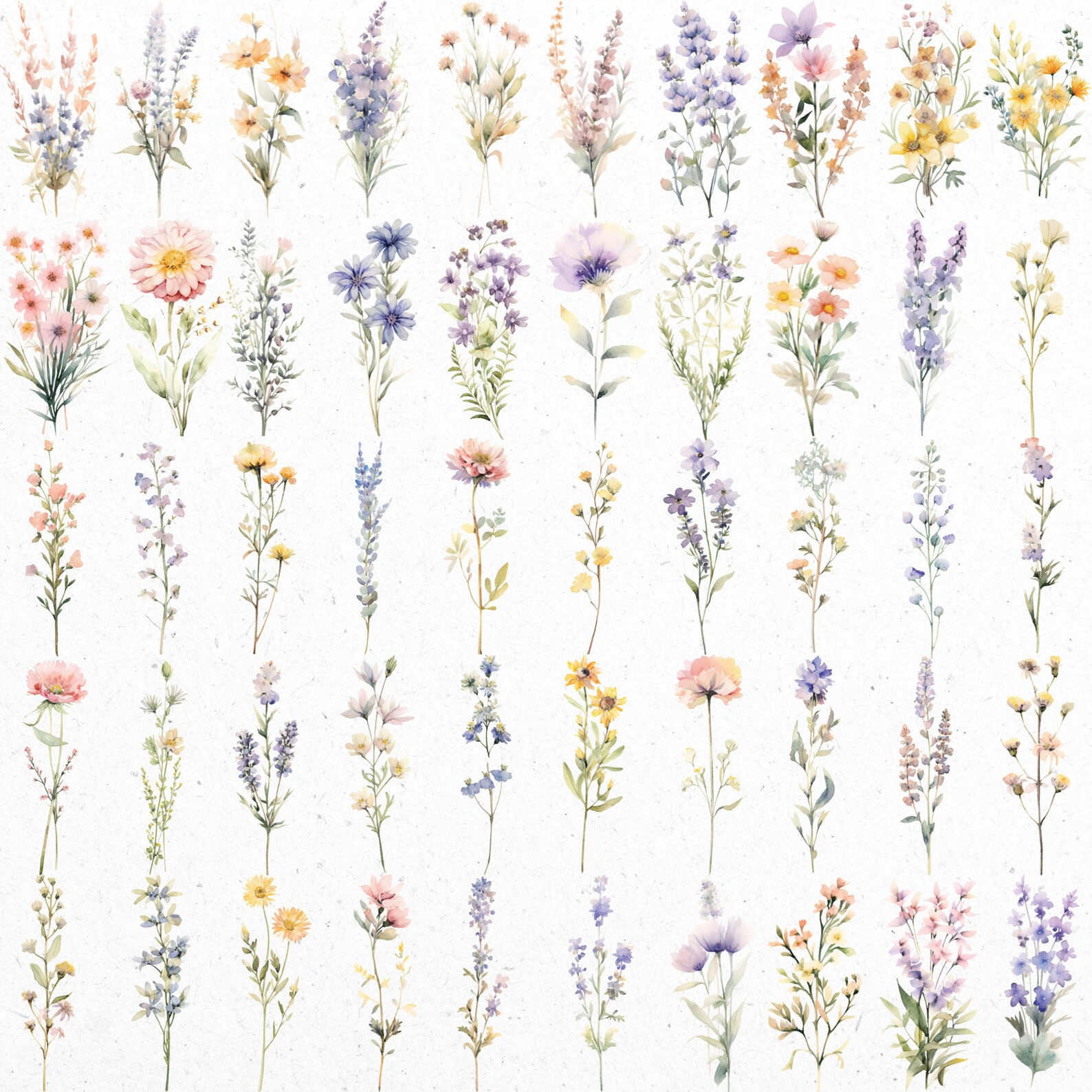 Wildflower Watercolor Clip Art, Pastel Flower, Flower Clip Art, Meadow ...