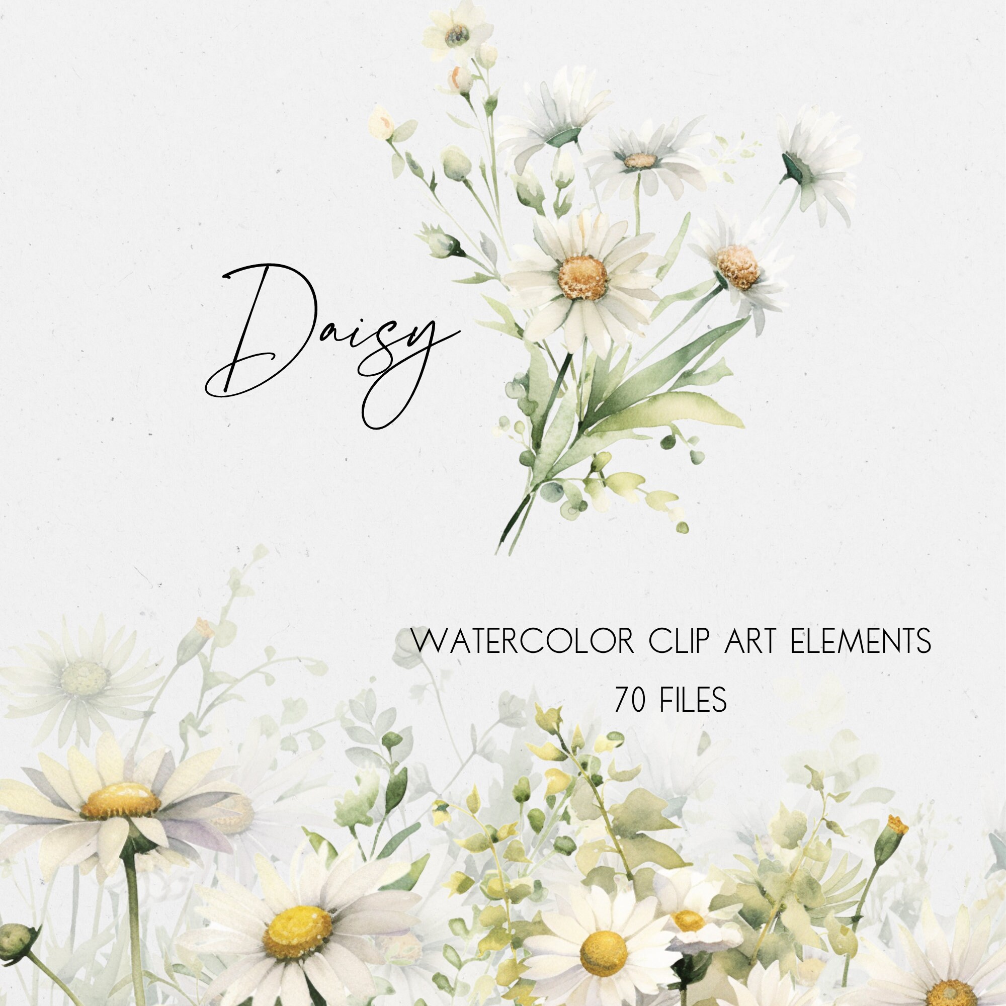 Daisy Flower Watercolor Clip Art Daisy Flower PNG White Floral ...