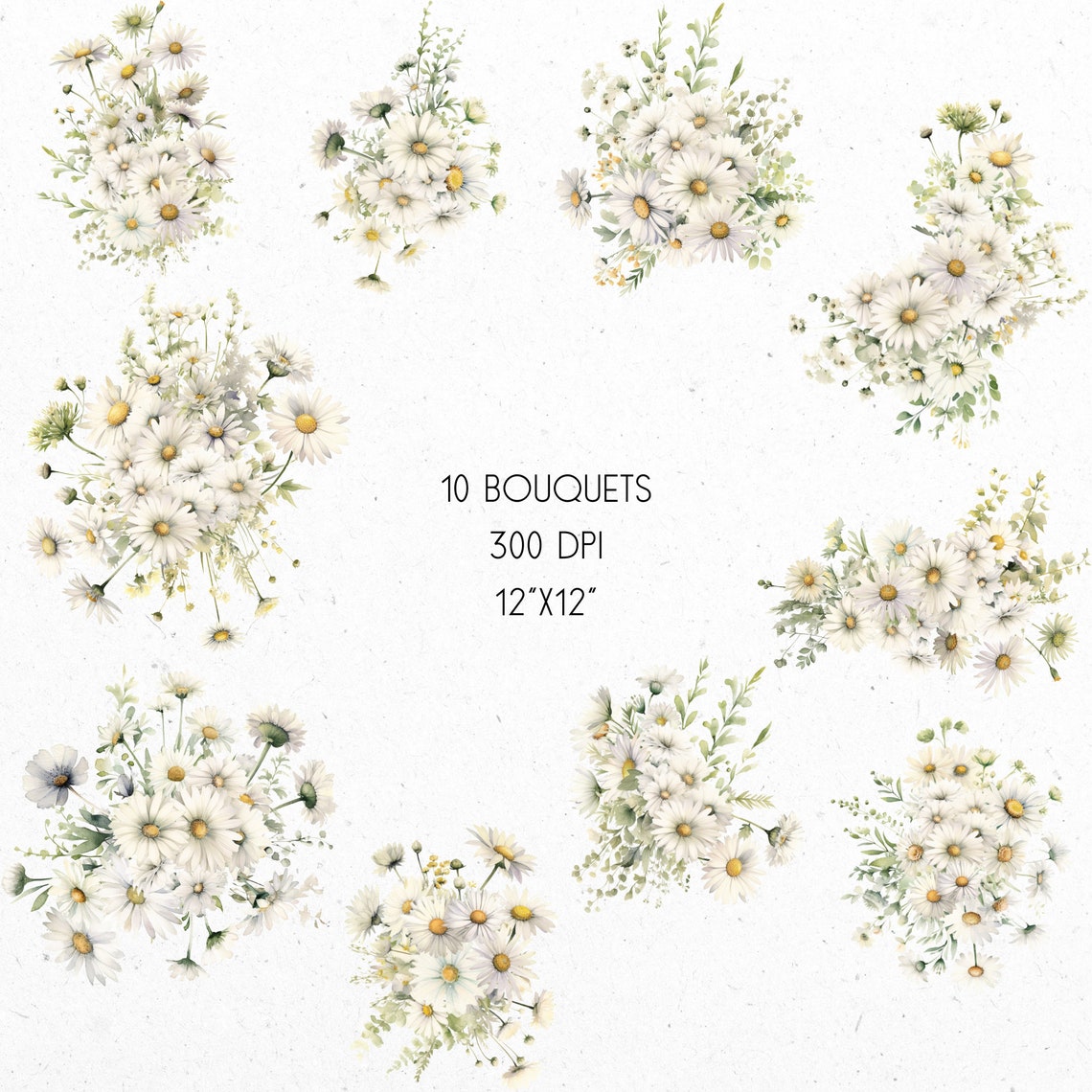 Daisy Flower Watercolor Clipart Daisy Bouquets Daisy Flower PNG White ...