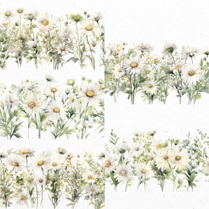 Daisy Flower Watercolor Clipart Daisy Border Daisy Flower PNG White ...