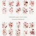 Ruby Red Wildflower Clipart Watercolor Elements, Borders & Wreaths ...