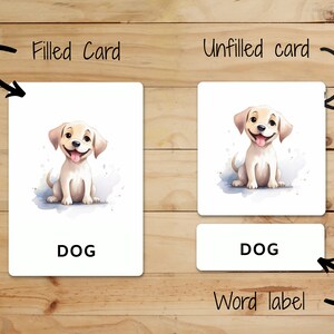 32 Montessori Cards • Animals • English • Printable Flashcards ...