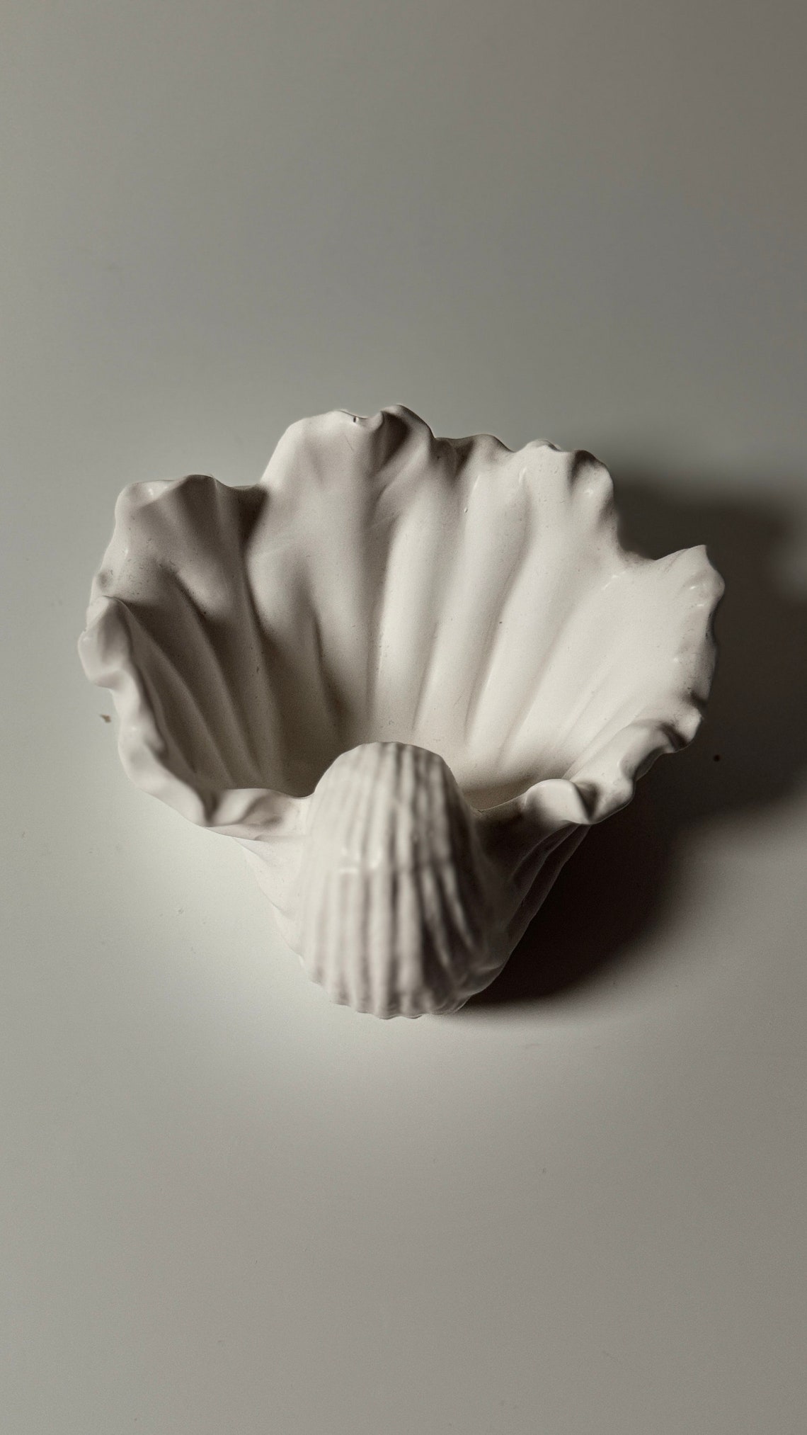 Seashell Tray| Open Shell Tray Trinket| Vanity Jewelry Dish| Holder ...
