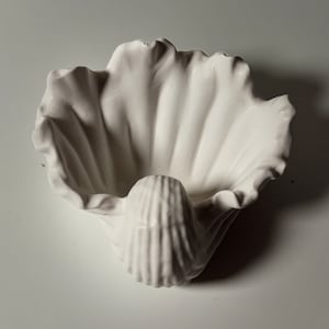Seashell Tray| Open Shell Tray Trinket| Vanity Jewelry Dish| Holder ...