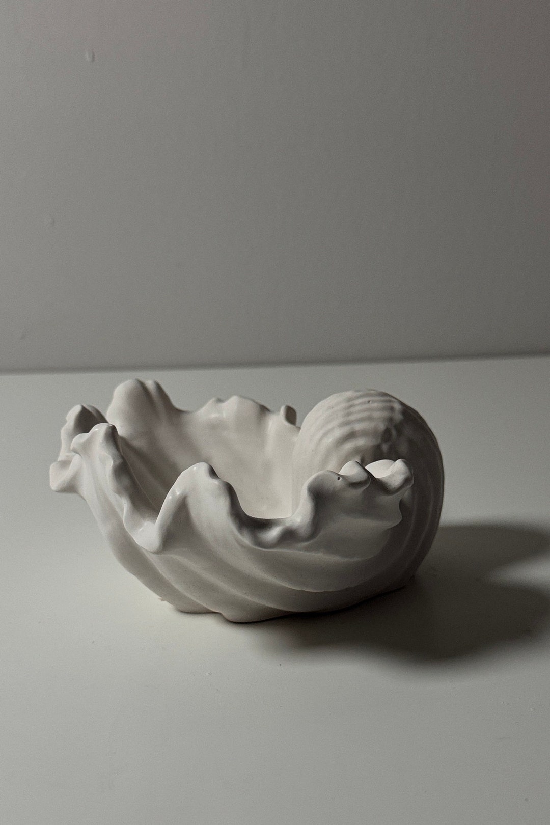 Seashell Tray| Open Shell Tray Trinket| Vanity Jewelry Dish| Holder ...