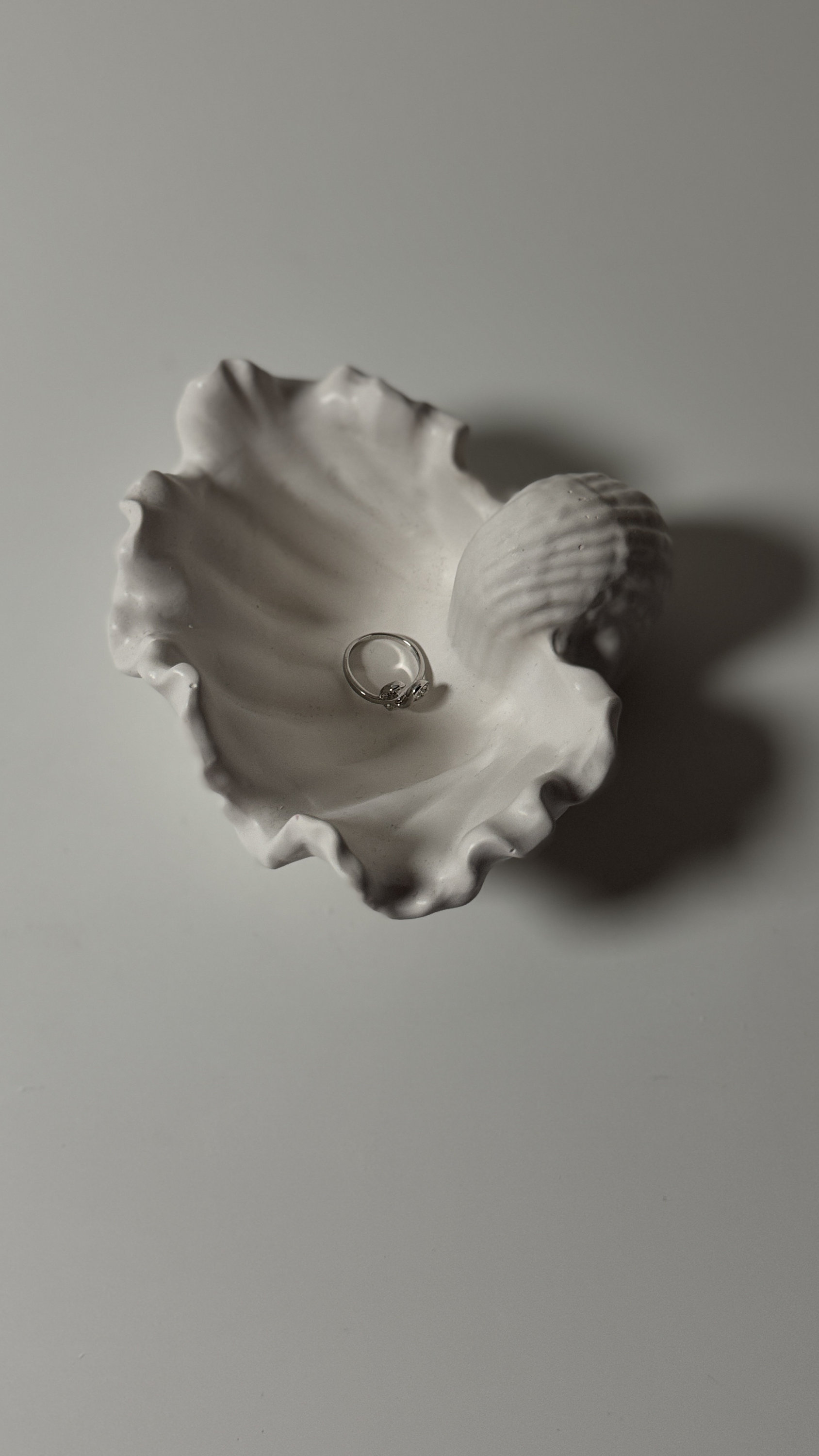 Seashell Tray| Open Shell Tray Trinket| Vanity Jewelry Dish| Holder ...